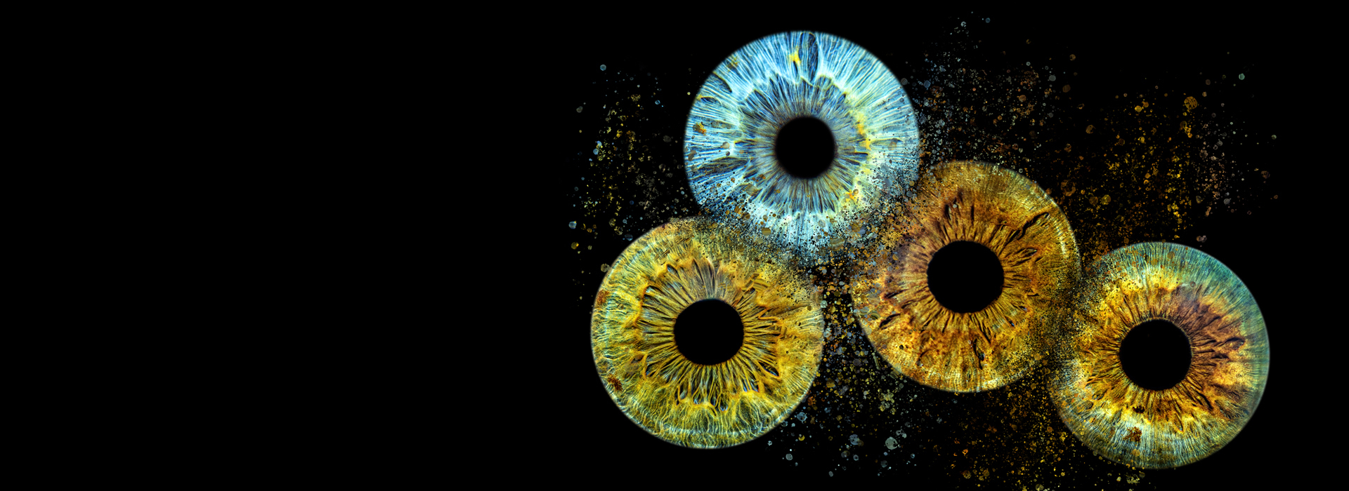Irisfotografie - Einzigartige Irisbilder in Ihrer Nähe - Color Drack
