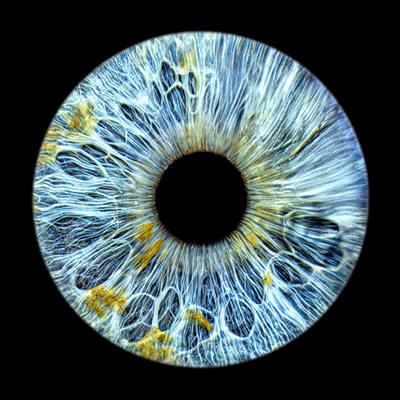 Irisfotografie - Einzigartige Irisbilder in Ihrer Nähe - Color Drack